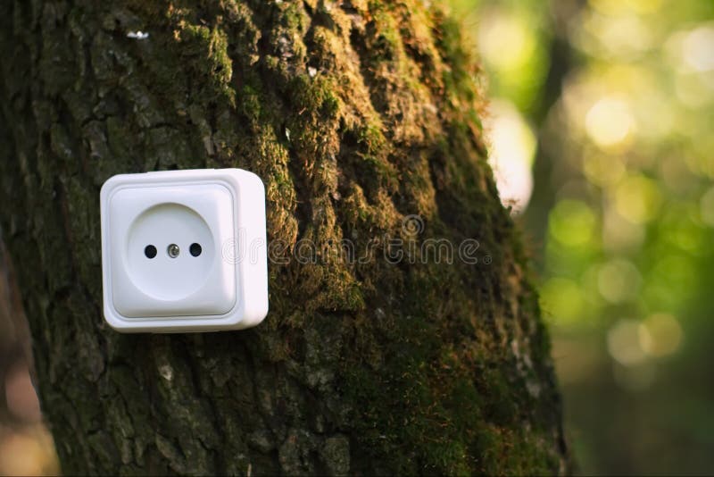 Electric Socket on Trees in Forest. Green Energy Concept Stock Image ...