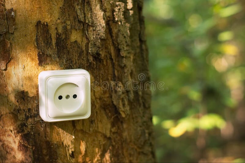 Electric Socket on Trees in Forest. Green Energy Concept Stock Photo ...