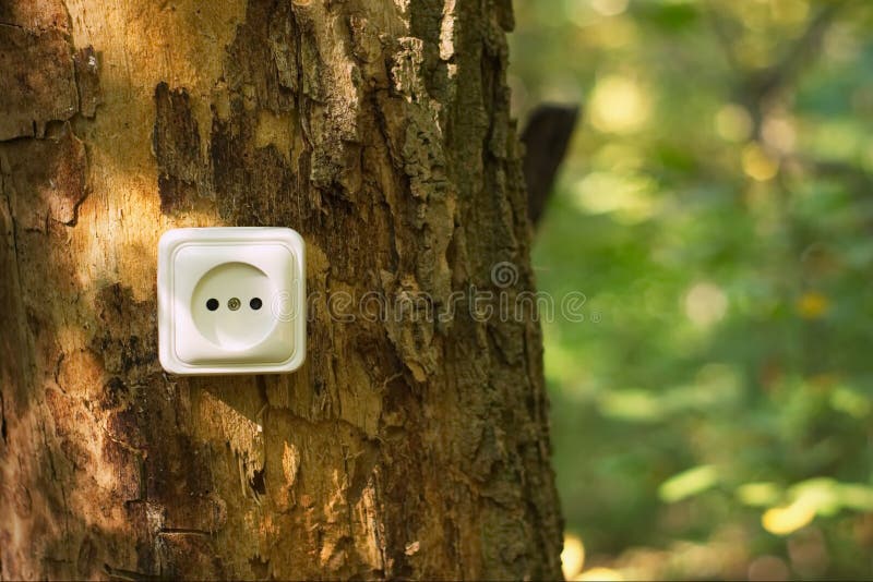 Electric Socket on Trees in Forest. Green Energy Concept Stock Image ...