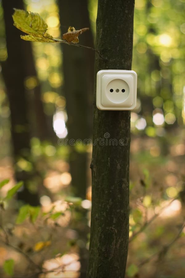 Electric Socket on Trees in Forest. Green Energy Concept. Stock Photo ...