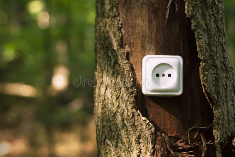 Electric Socket on Trees in Forest. Green Energy Concept Stock Image ...