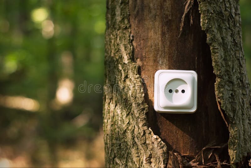 Electric Socket on Trees in Forest. Green Energy Concept. Stock Photo ...