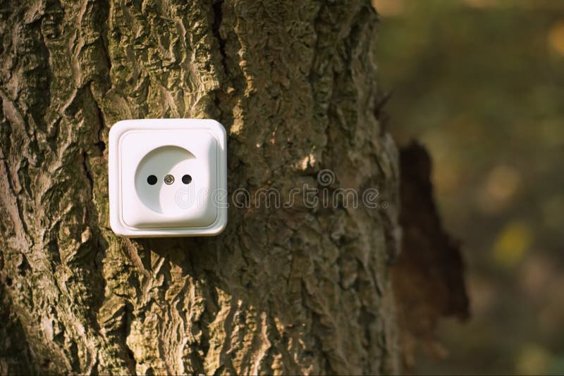 Electric Socket on Trees in Forest. Green Energy Concept Stock Photo ...
