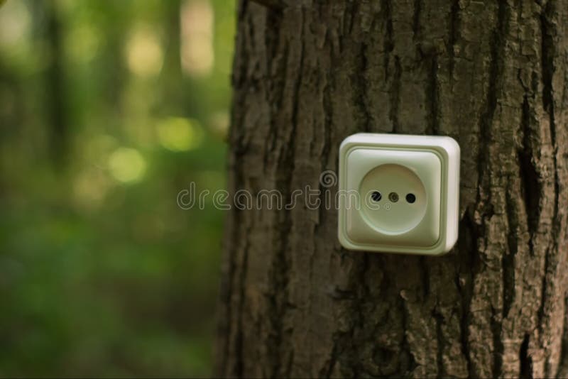 Electric Socket on Trees in Forest. Green Energy Concept Stock Photo ...