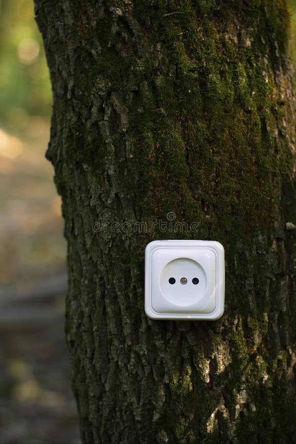 Electric Socket on Trees in Forest. Green Energy Concept Stock Photo ...