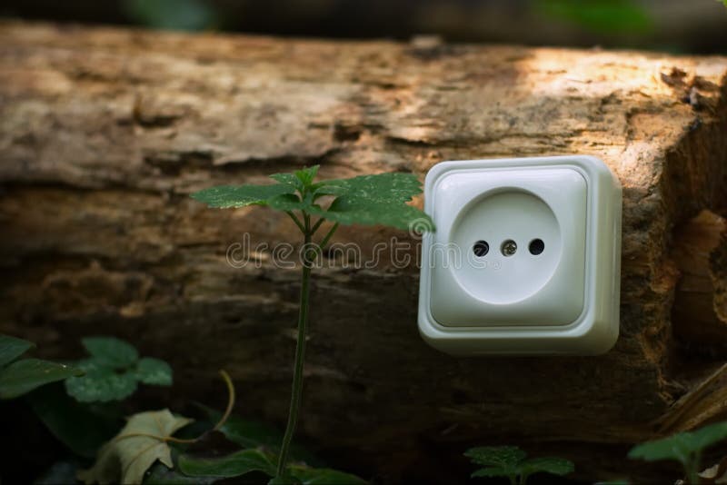 Electric Socket on Trees in Forest. Green Energy Concept Stock Photo ...
