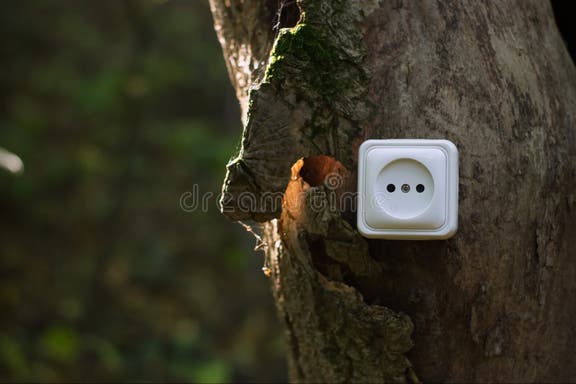 Electric Socket on Trees in Forest. Green Energy Concept Stock Photo ...
