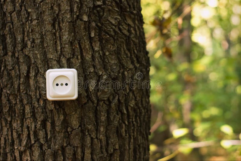 Electric Socket on Trees in Forest. Green Energy Concept Stock Image ...