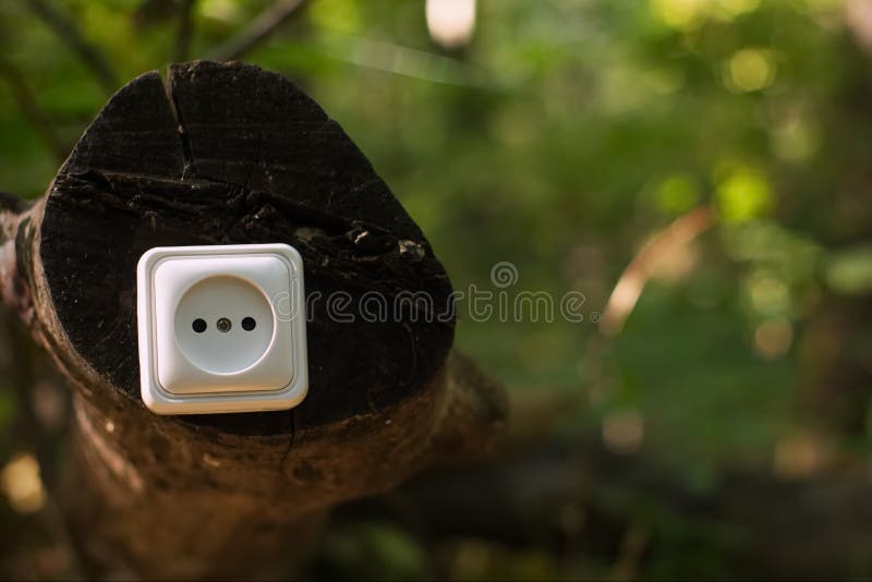 Electric Socket on Trees in Forest. Green Energy Concept Stock Photo ...