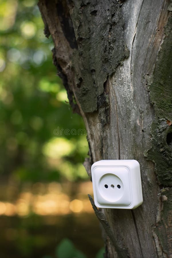 Electric Socket on Trees in Forest. Green Energy Concept Stock Image ...