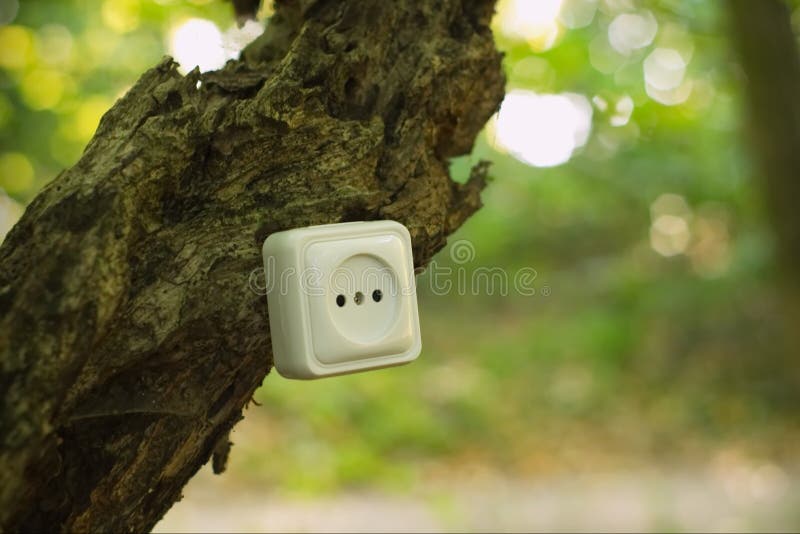 Electric Socket on Trees in Forest. Green Energy Concept Stock Photo ...