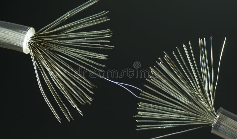 Electric Spark stock image. Image of light, isolated - 12586109