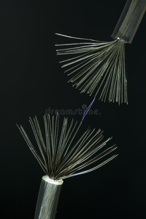 Electric Spark stock image. Image of light, isolated - 12586109