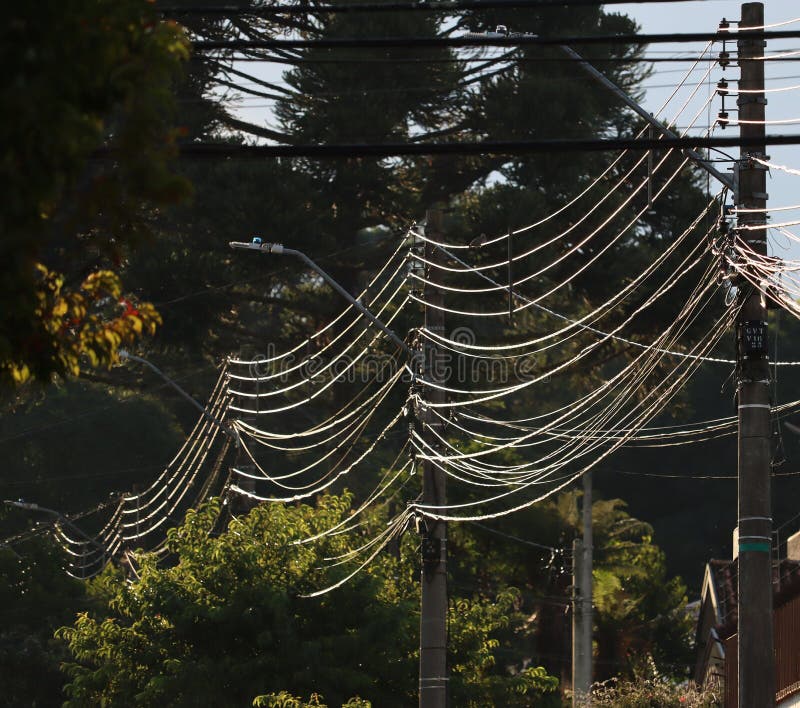 Electric wire stock image. Image of strands, long, electrical - 241981663