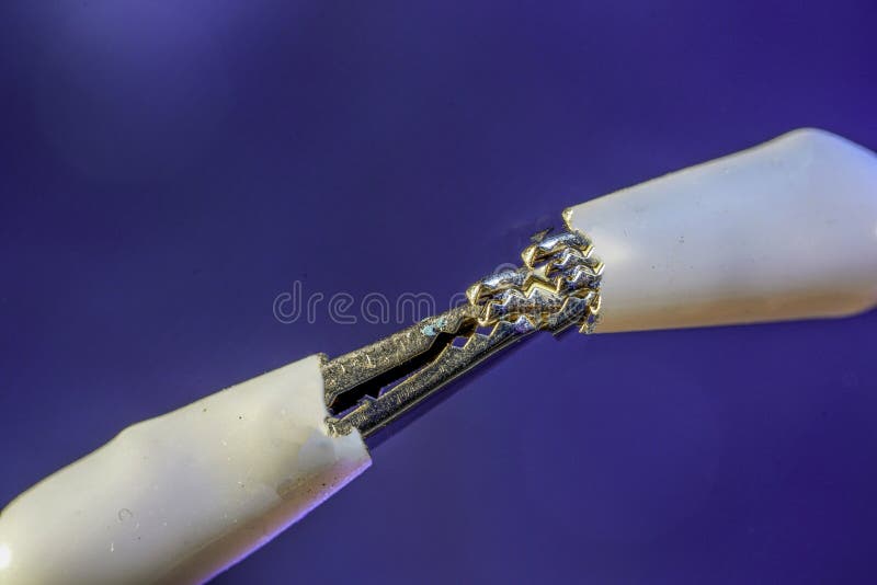 170 Burnt Wire Insulation Stock Photos - Free & Royalty-Free Stock ...