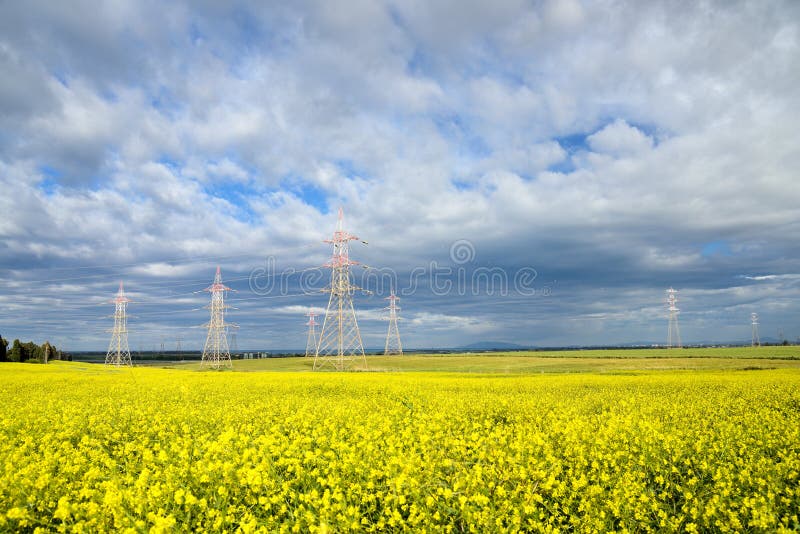 Electric Yellow field stock photo. Image of pylon, field - 72094612