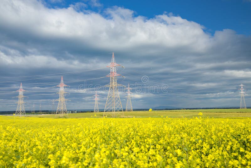 Electric Yellow field stock image. Image of cable, pole - 72131299