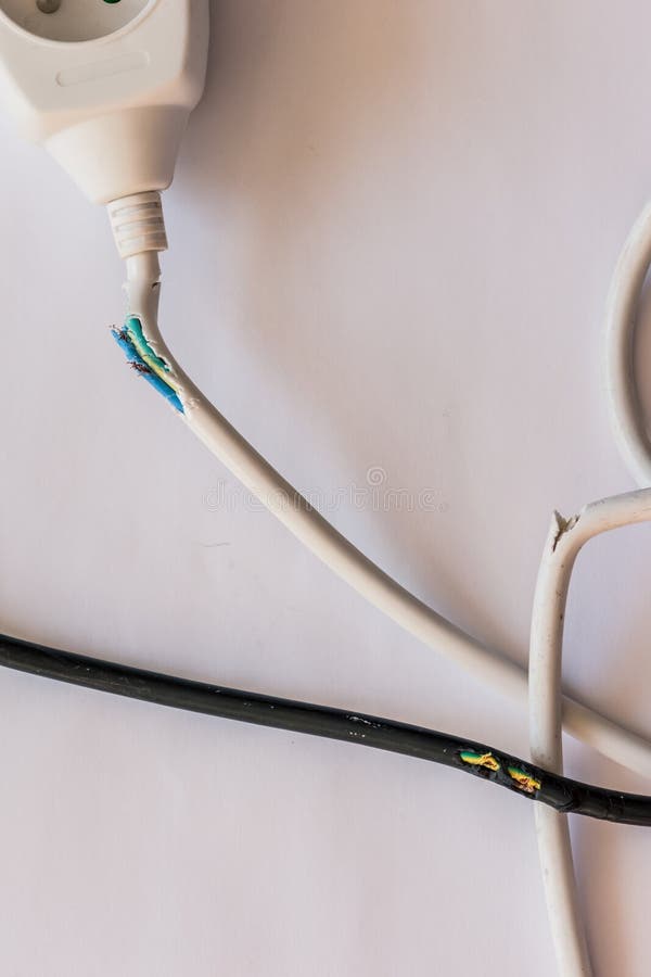 Rat Chewing Cable Stock Photos - Free & Royalty-Free Stock Photos from ...