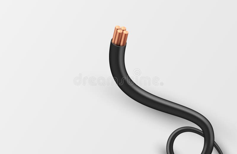 Electrical Cable. Conductors. Copper Wires in Black Insulation. Cross ...