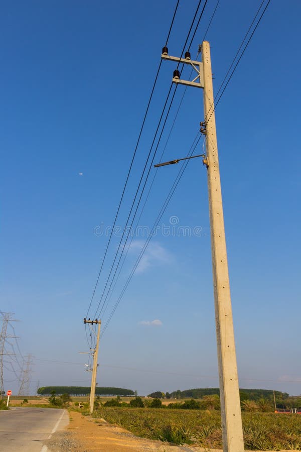 Electrical Cable on the Posts Stock Photo - Image of electrical, line ...