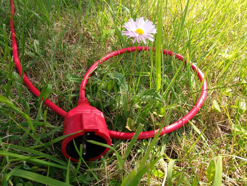 Electrical Cable with a Socket Forms a Ring Around Flower Stock Photo ...
