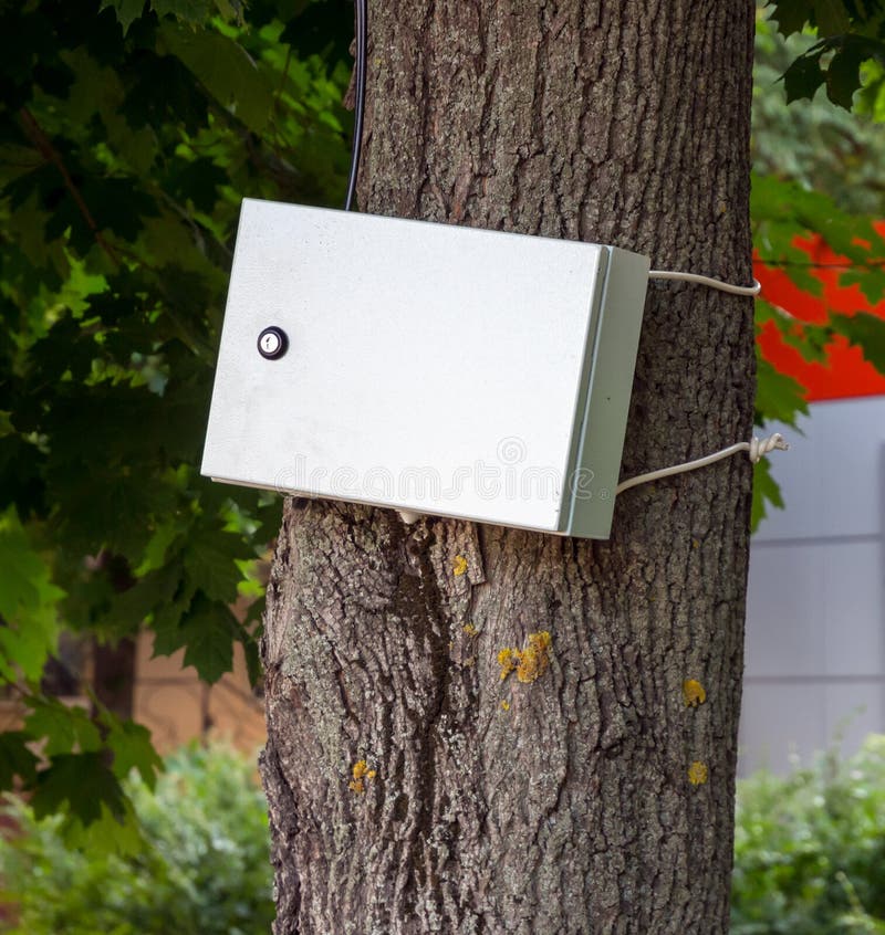 Electrical Control Cabinet is Mounted on a Tree Trunk Stock Image ...
