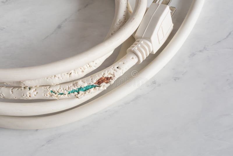 Chewed Cord Stock Photos - Free & Royalty-Free Stock Photos from Dreamstime