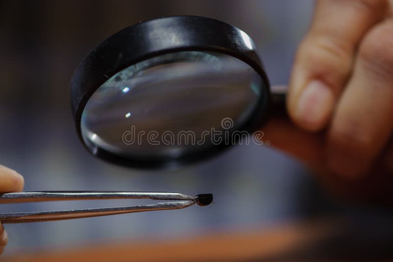Diode and Magnifier, Closeup Stock Photo - Image of component ...