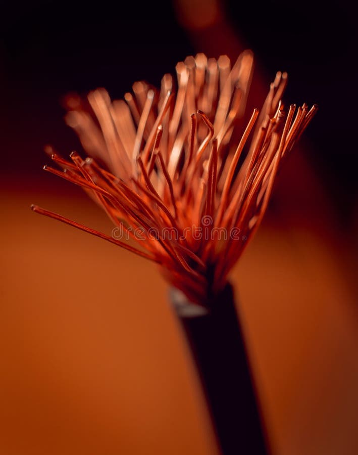 Electrical Equipment. Electricity Cable. Background and Texture. Stock ...