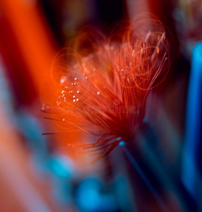 Electrical Equipment. Electricity Cable. Background and Texture. Stock ...