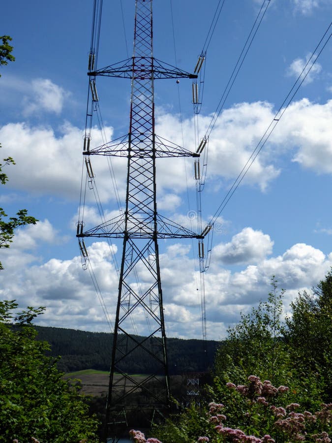 Electrical Grid Infrastructure, Electrical Poles with Wiring in Forest ...