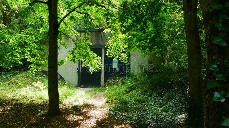 Electrical Management Warehouse in a Forest Area Stock Photo - Image of ...