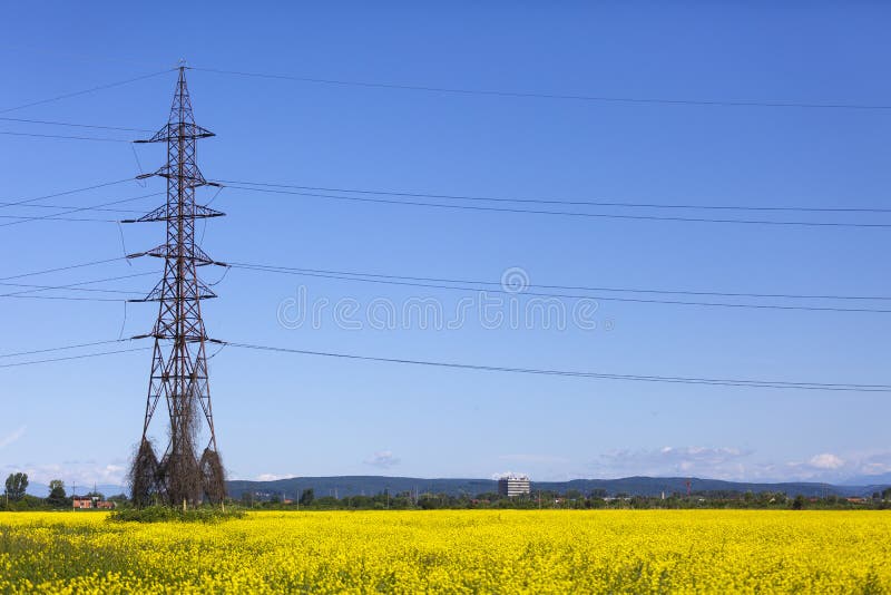 Electrical Net of Poles on Blue Sky and Meadow Stock Image - Image of ...