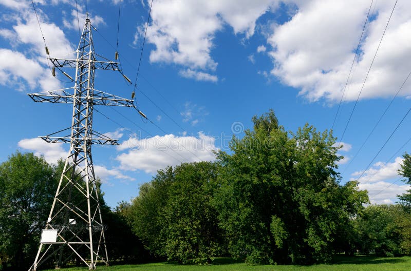 Electrical Network of Poles on Blue Sky and Surrounded by Green Bushes ...