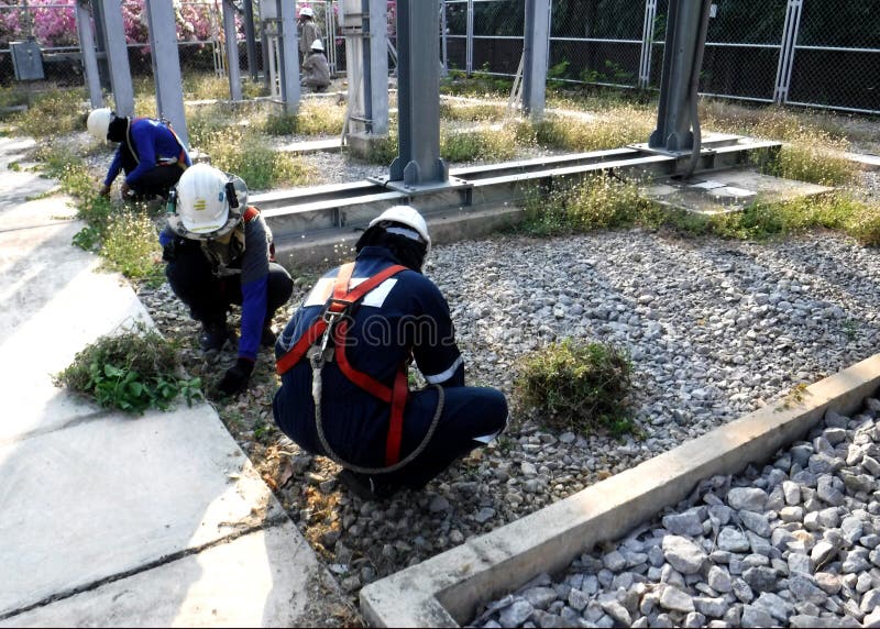 Workers Cleaning Switchyard Area. Stock Photo - Image of bushings ...
