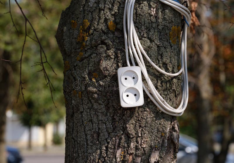 Electrical Socket Hanging on the Tree. Stock Image - Image of energy ...