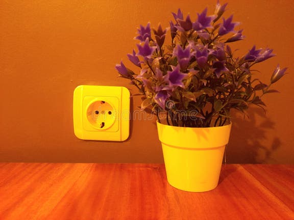 Electrical Socket on the Wall Next To the Artificial Flower Decoration ...
