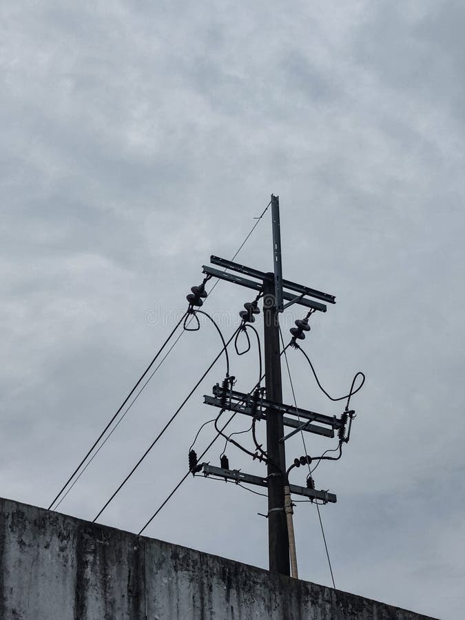 727 Tangled Tower Picture Stock Photos - Free & Royalty-Free Stock ...