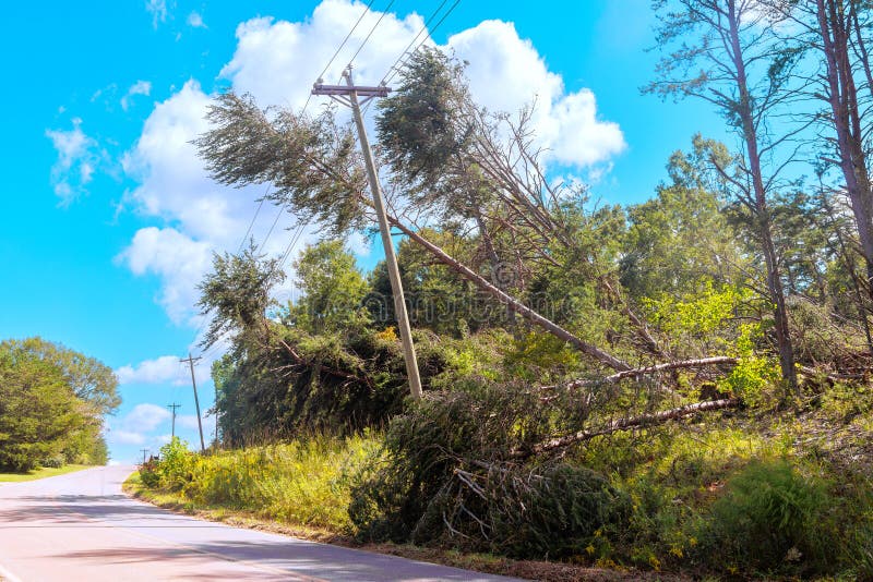 An Electrical Wire is Crushed by Fallen Tree during a Tropical Storm ...