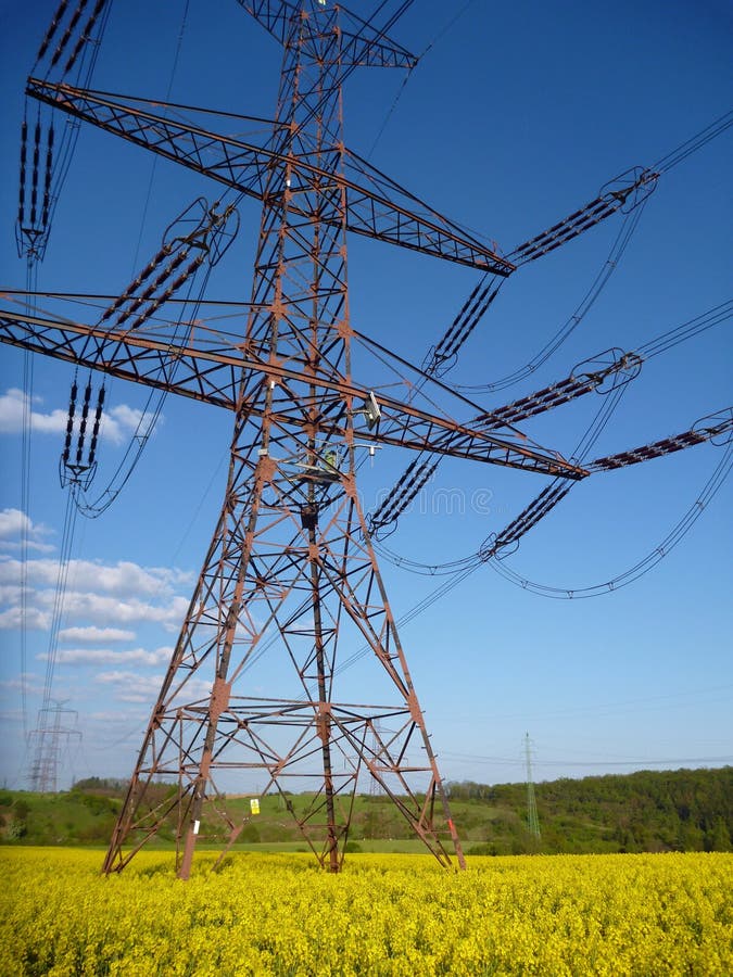 Electrical Wire Tower in a Yellow Field Stock Photo - Image of blossoms ...