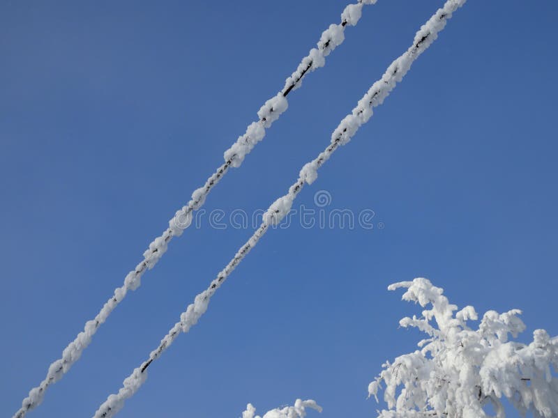 Electrical Wires or Power Line Covered by Snow Stock Image - Image of ...