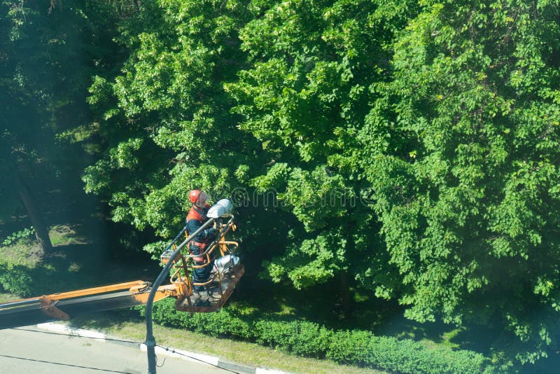 The Electrician Changes the Lamp on the Light Pole, the Car-tower Lifts ...
