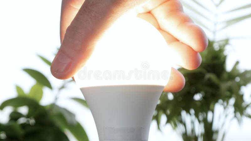 Electrician`s Hand Rotates a Led Bulb in Electrical Socket Turning on ...