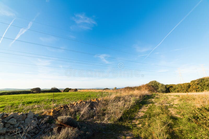 Electricity Cables Over a Field Stock Photo - Image of landscape ...