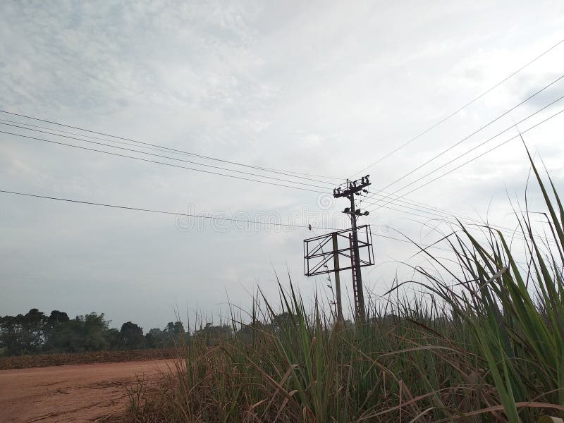 Electricity Poles in Rural Areas Stock Photo - Image of pillar ...