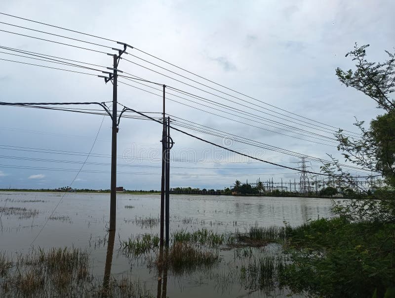 Electricity Poles in Swamp Water Stock Photo - Image of natural, swamp ...