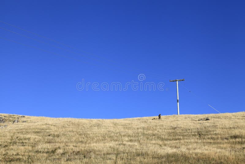 Electricity Post in Dry Grass Field Stock Image - Image of brown, wire ...