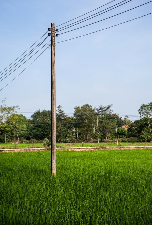 Electricity Post on Nice Sky Stock Photo - Image of network, line: 34476692