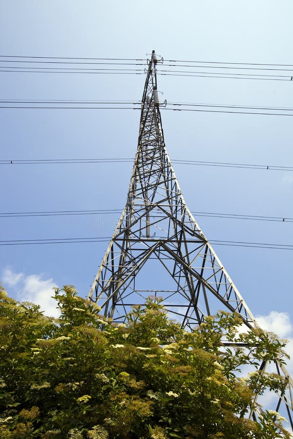 Electricity Pylon Above Trees Stock Photo - Image of clear, pole: 33915334