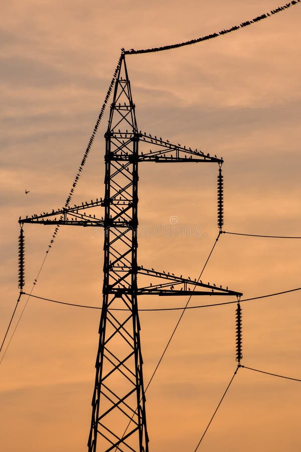 Electricity Pylon Pole stock photo. Image of line, high - 135339036